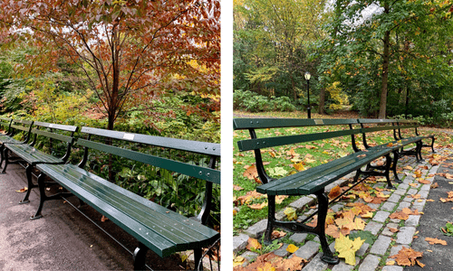 Project Highlight: Benches of Central Park | Design Ideas for the Built ...