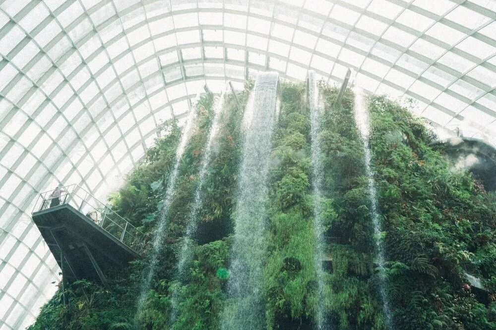 Understanding the Basics of Biomimicry in Building | Design Ideas for ...