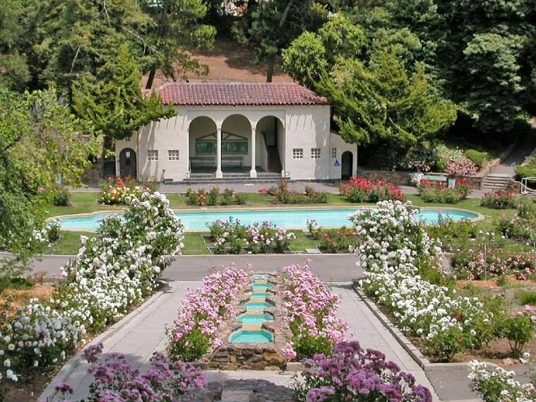 Project Highlight: Morcum Rose Garden | Design Ideas for the Built World