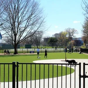 Project Highlight: Brittingham Dog Park | Design Ideas for the Built World