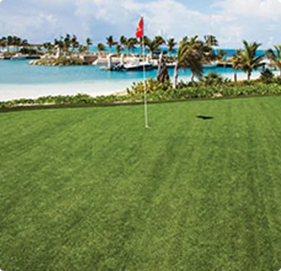 Five Exciting Outdoor Projects That Will Transform Your Space for the ...