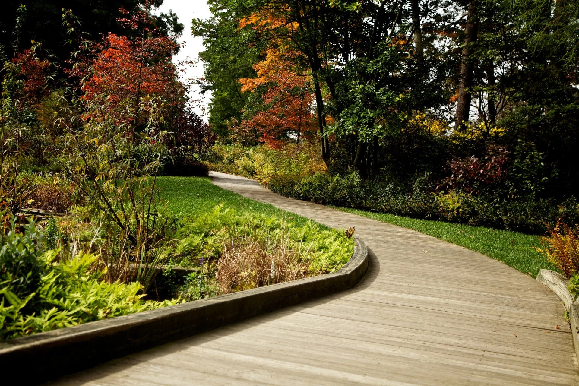 Incorporating Landscape Design in High-Density City Living | Design ...