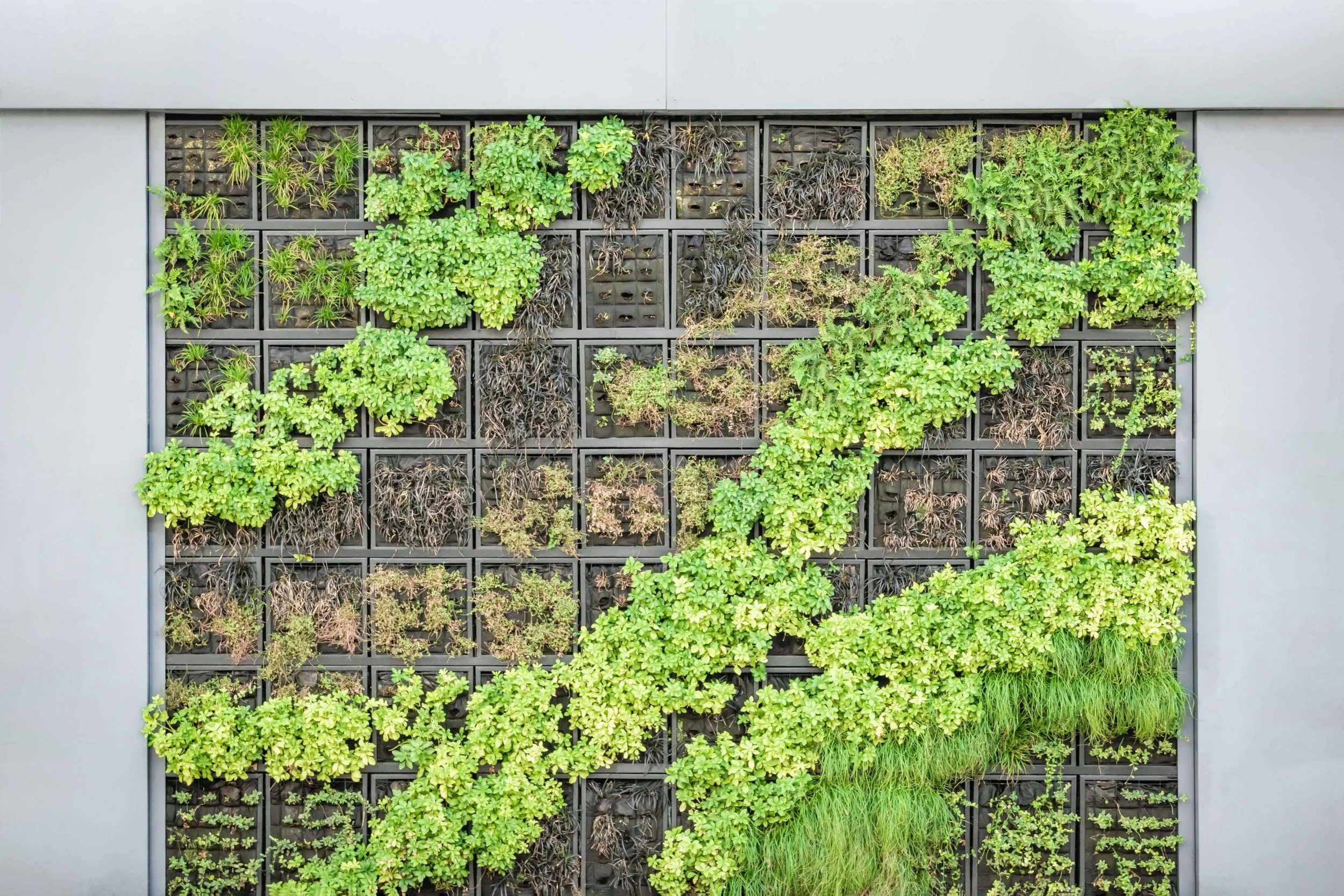 Vertical Gardens: A Green Revolution in Urban Architecture | Design ...