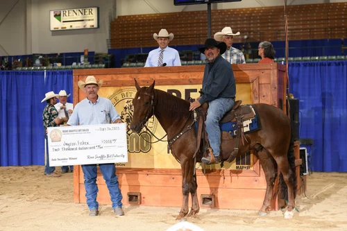 Horse Sale — Reno Snaffle Bit Futurity