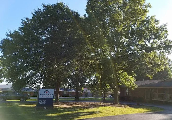 Natural State Tree Service