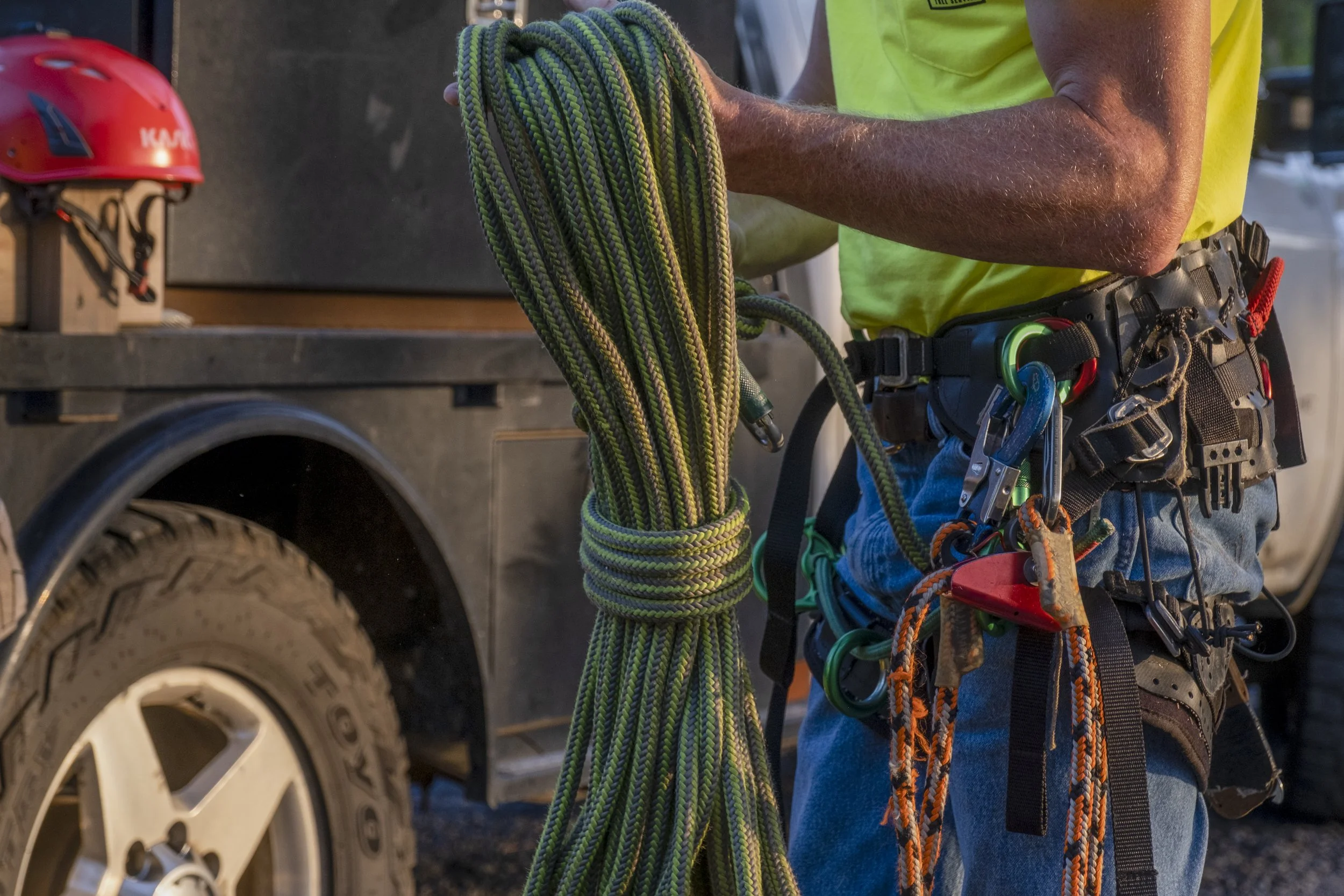 Natural State Tree Service