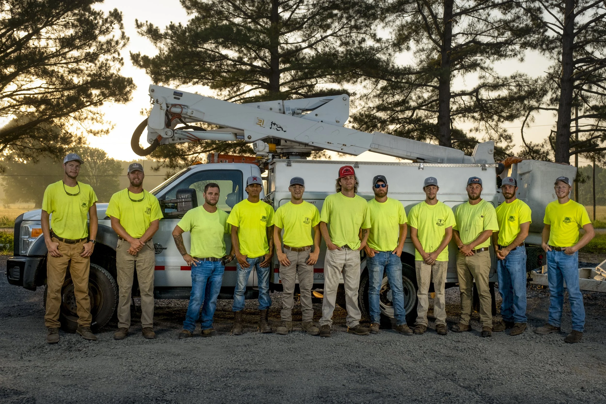 Natural State Tree Service