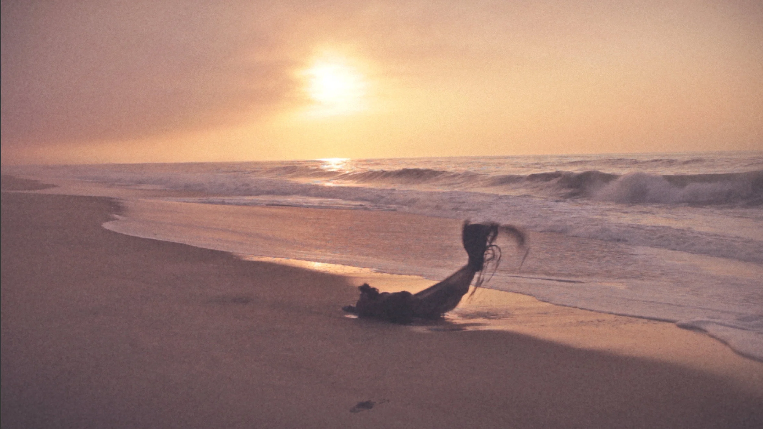 In Context 2016: Africans in America and Black Portraiture[s] III — # ...