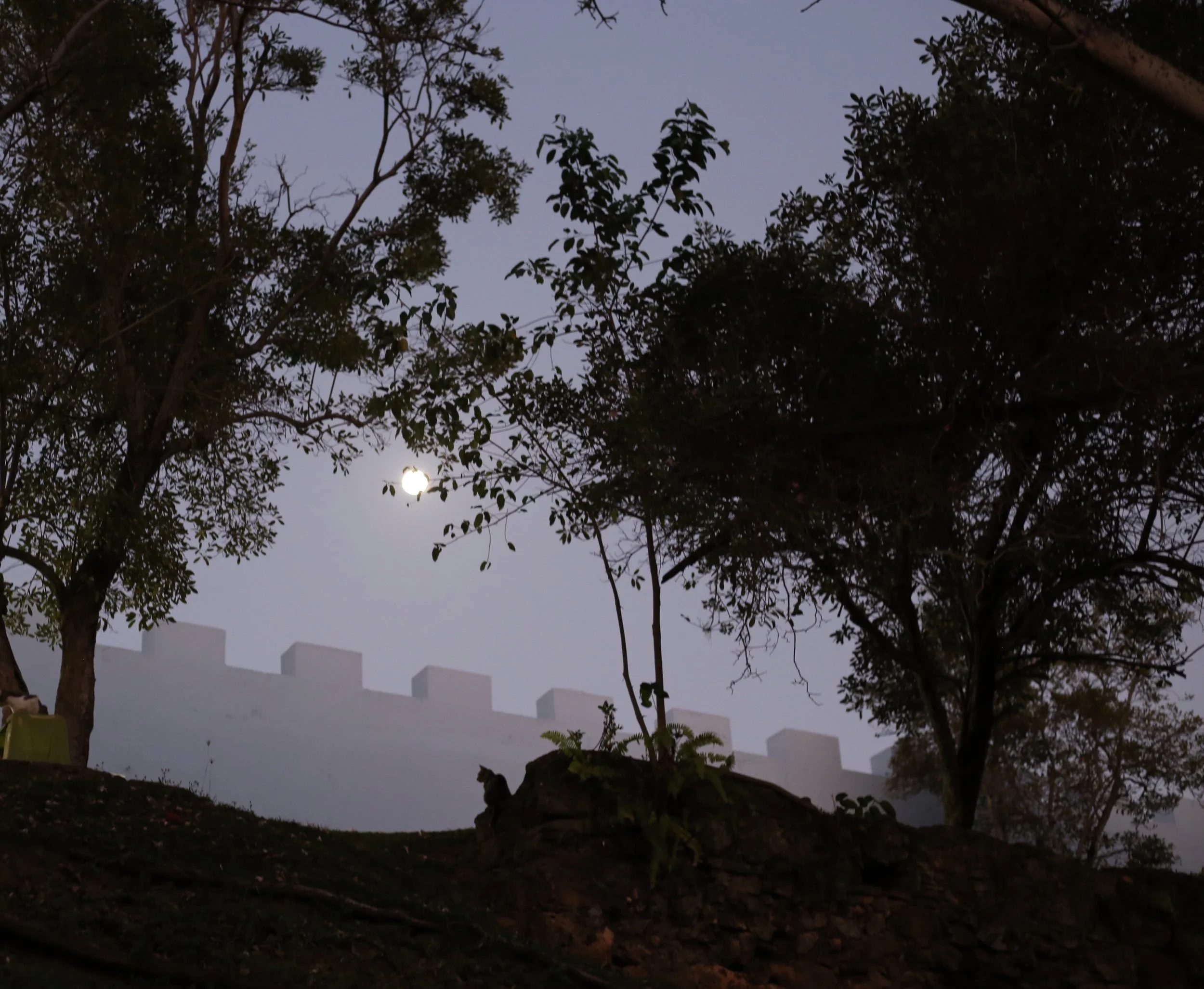 Adelaida Chirivi — DAVID ALAN HARVEY