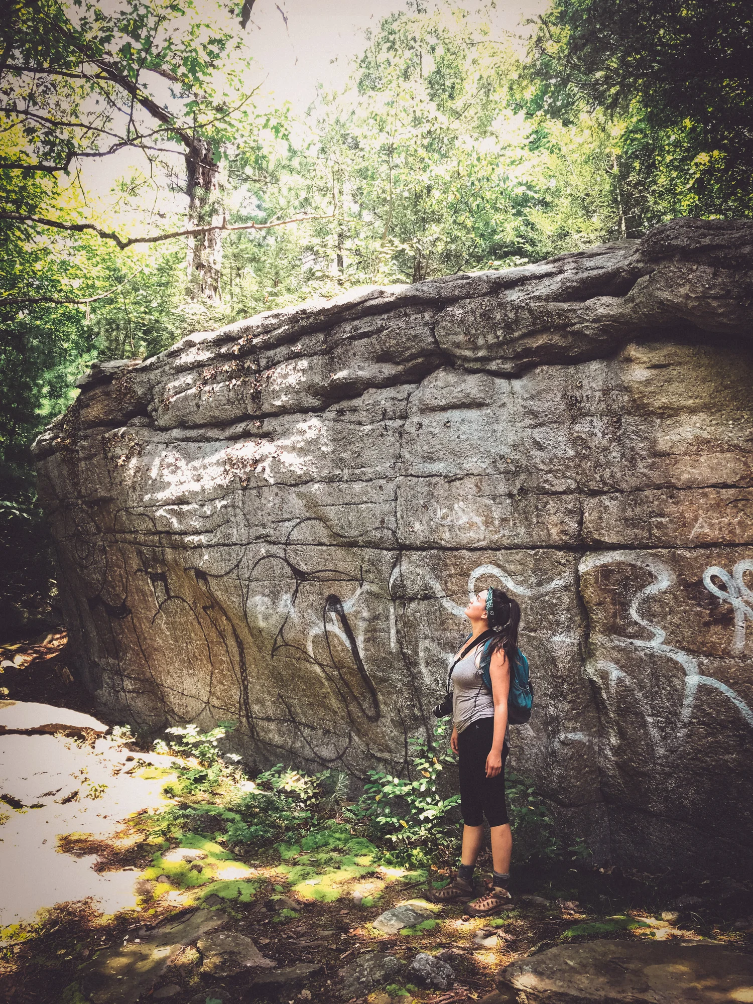 Glen Onoko Falls and Lehigh Gorge Overlook Trail | Lehigh Gorge State ...