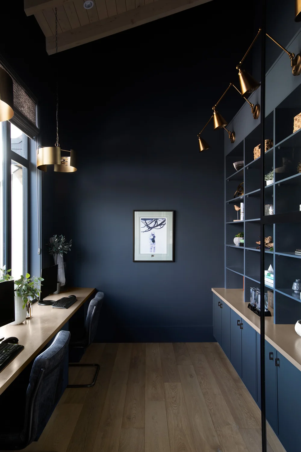 Midnight Cypress — Designated Developments