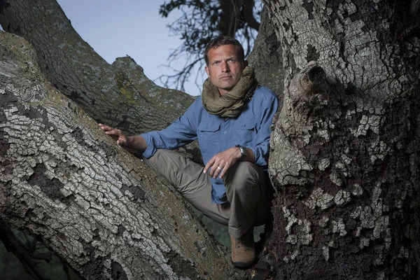 What I Do — John Hudson