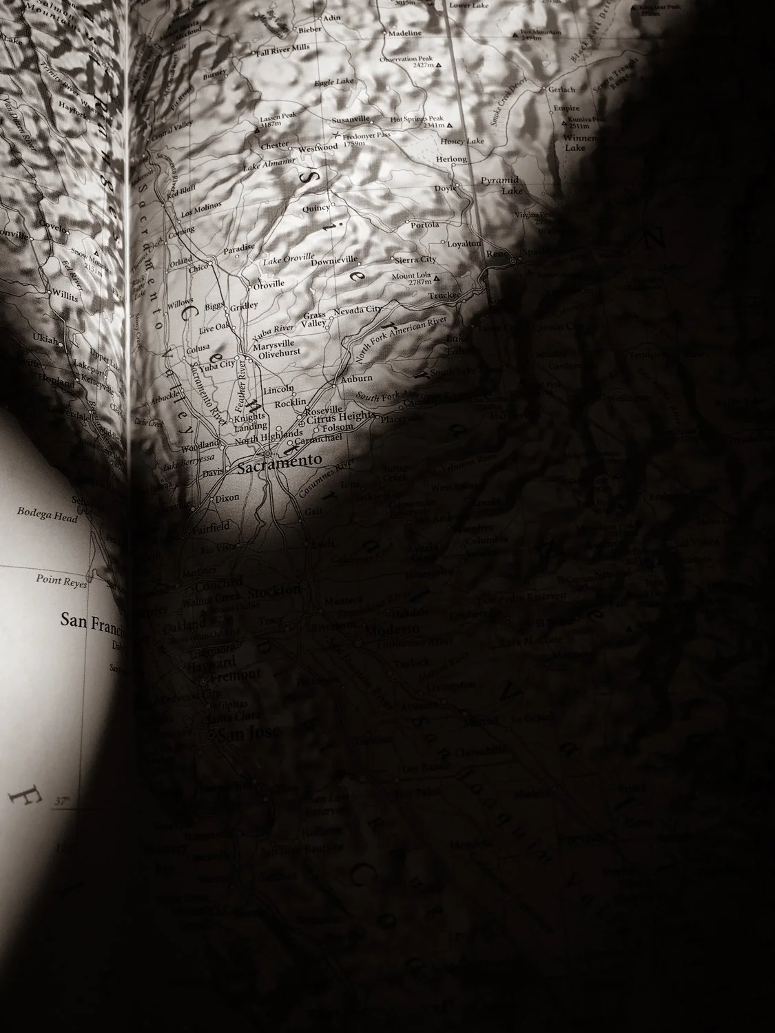 Marsha Guggenheim — CordenPotts