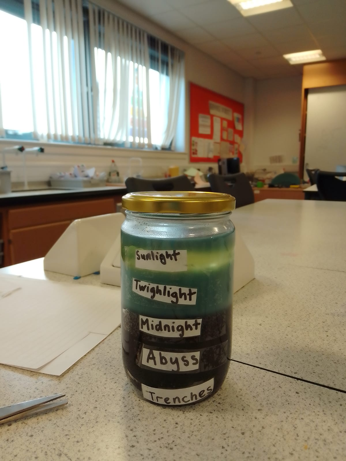 Gallery of Learning — Light Up Learning