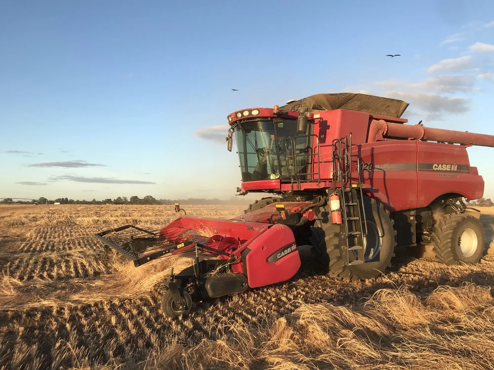 HOW TEFF GETS FROM OUR FARM TO YOUR PLATE — Teff Blogs