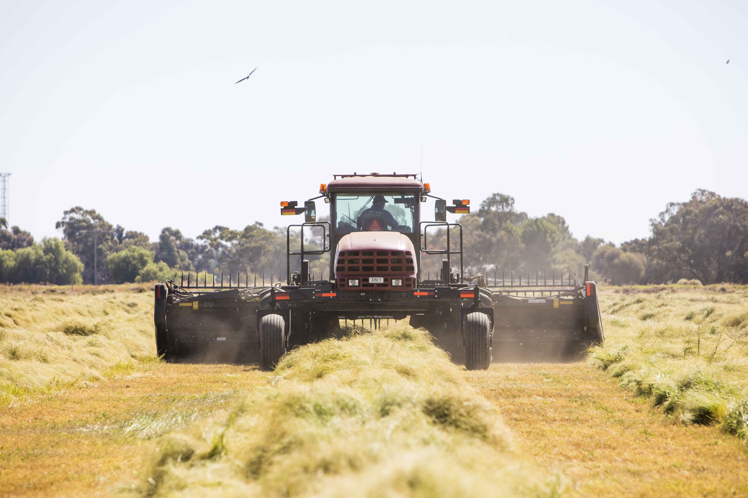 OUTBACK HARVEST — Wholesale Gluten Free Ingredient Supplies