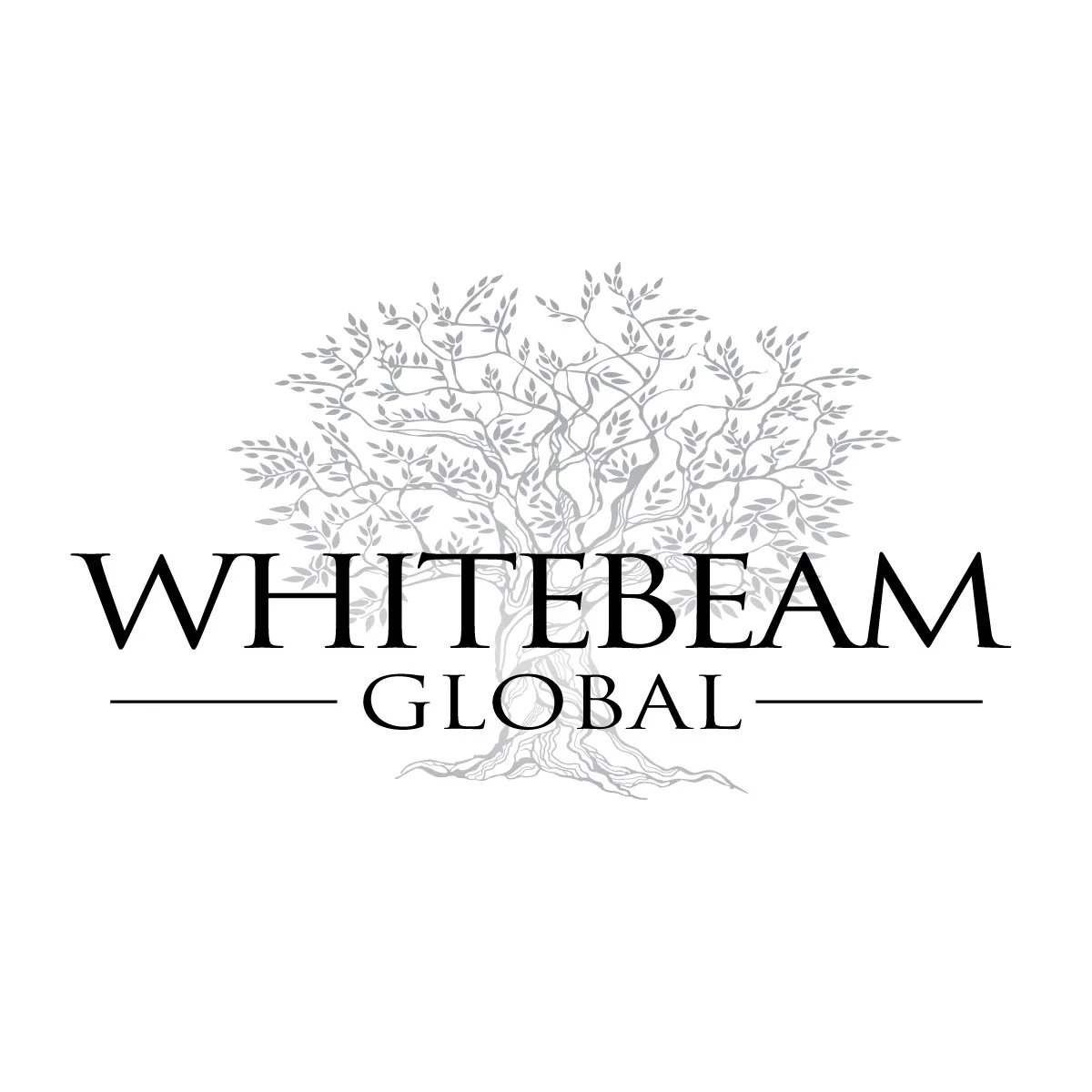 Whitebeam Global