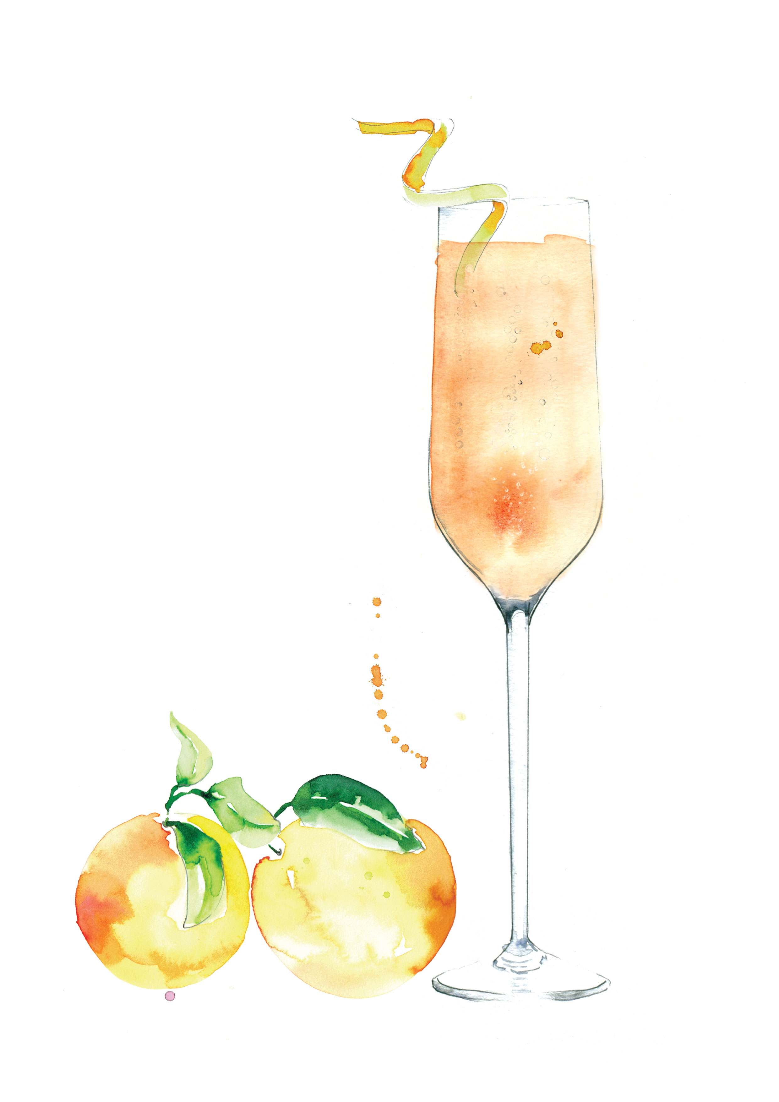 Spritz Fever Cocktail Illustrations — Sarah Hankinson Melbourne Art And