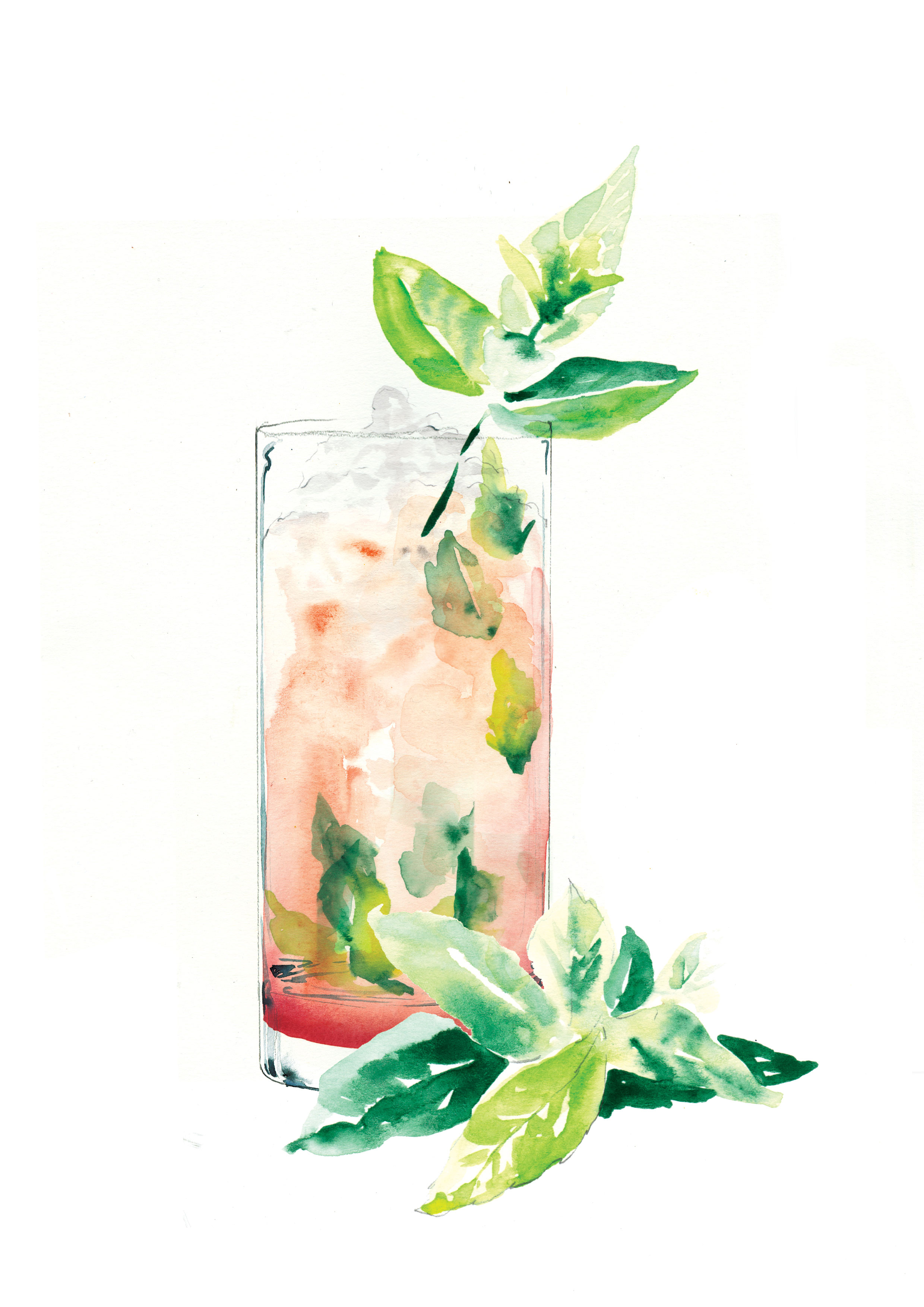 Spritz Fever Cocktail Illustrations — Sarah Hankinson Melbourne Art And