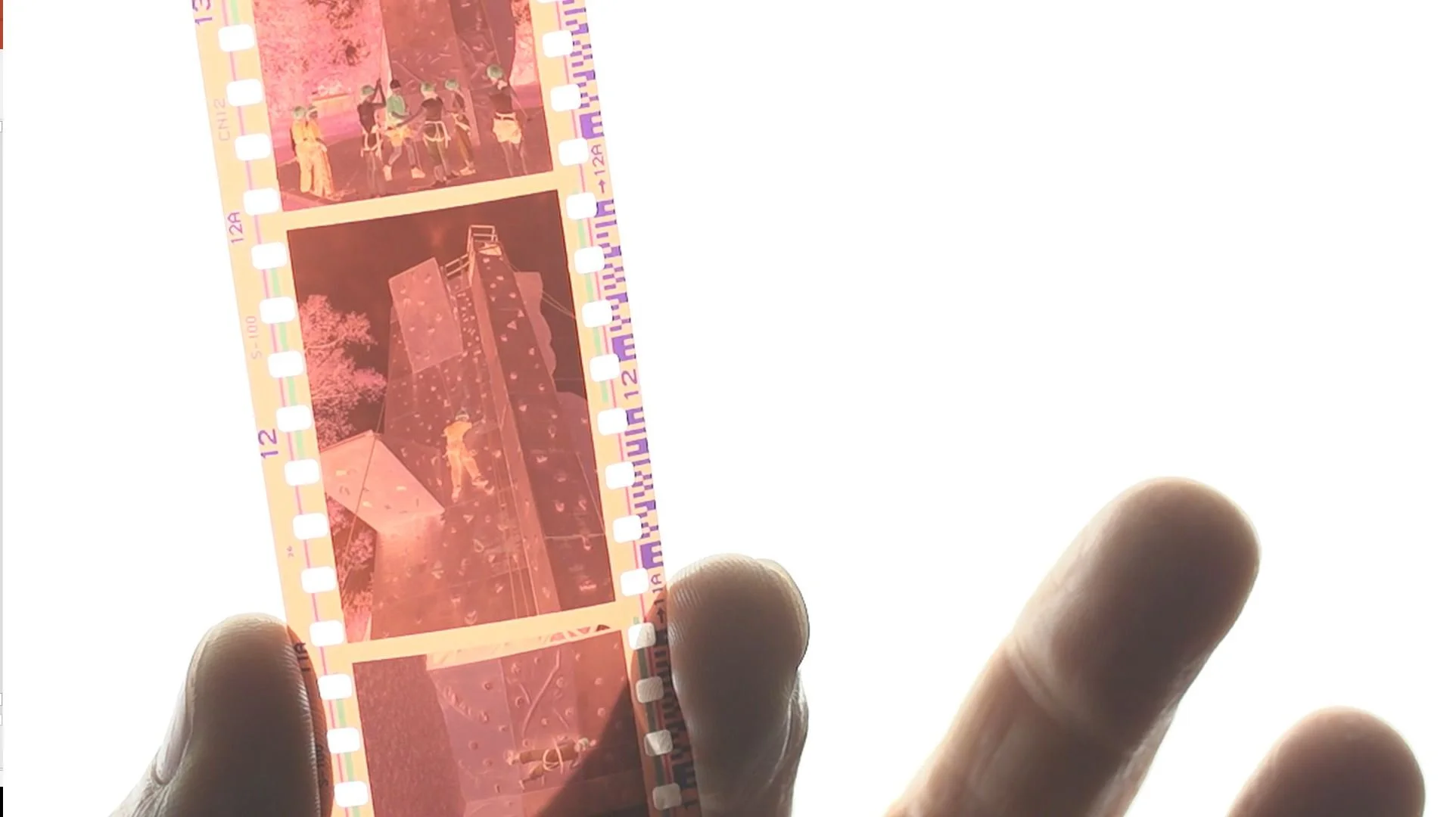 DNG vs RAW – What, Why, and should you convert? — The School of Photography - Courses, Tutorials ...