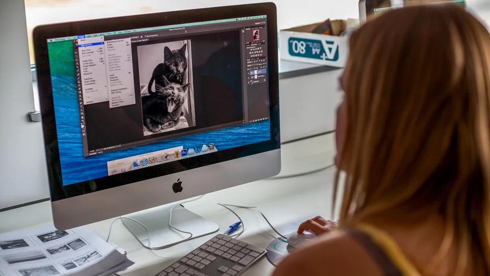 Photography Classes Essex — The School of Photography - Courses ...