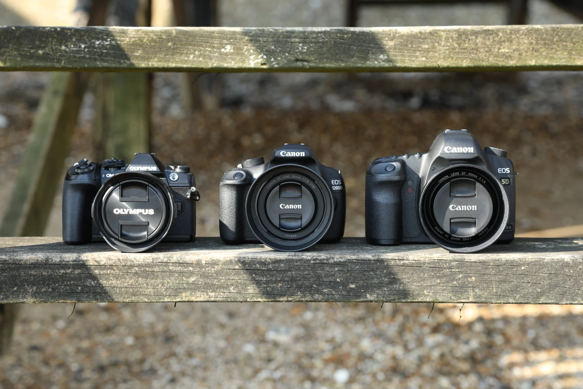 Sensor Sizes Explained — The School of Photography - Courses, Tutorials ...