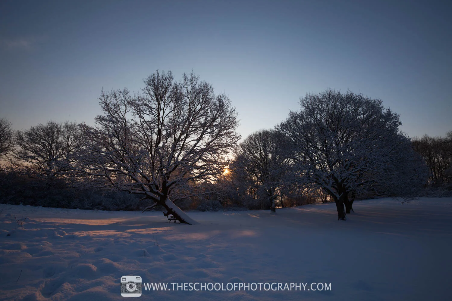 How to take pictures in the snow — The School of Photography - Courses ...