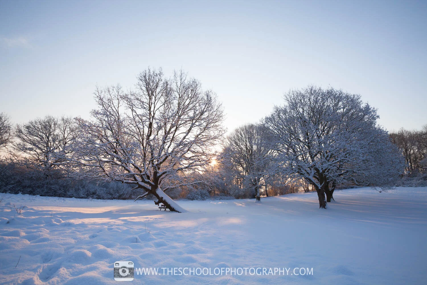 How to take pictures in the snow — The School of Photography - Courses ...