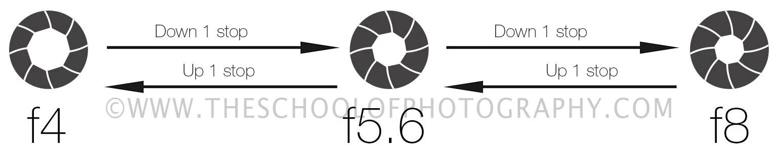 What is aperture in photography? – Explained once and for all! — The ...