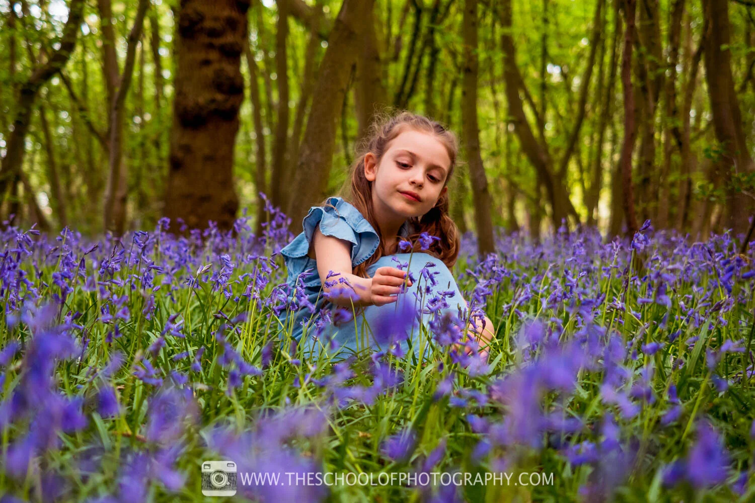 Bluebell Photography — The School of Photography - Courses, Tutorials ...