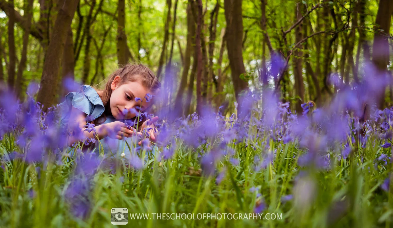 Bluebell Photography — The School of Photography - Courses, Tutorials ...