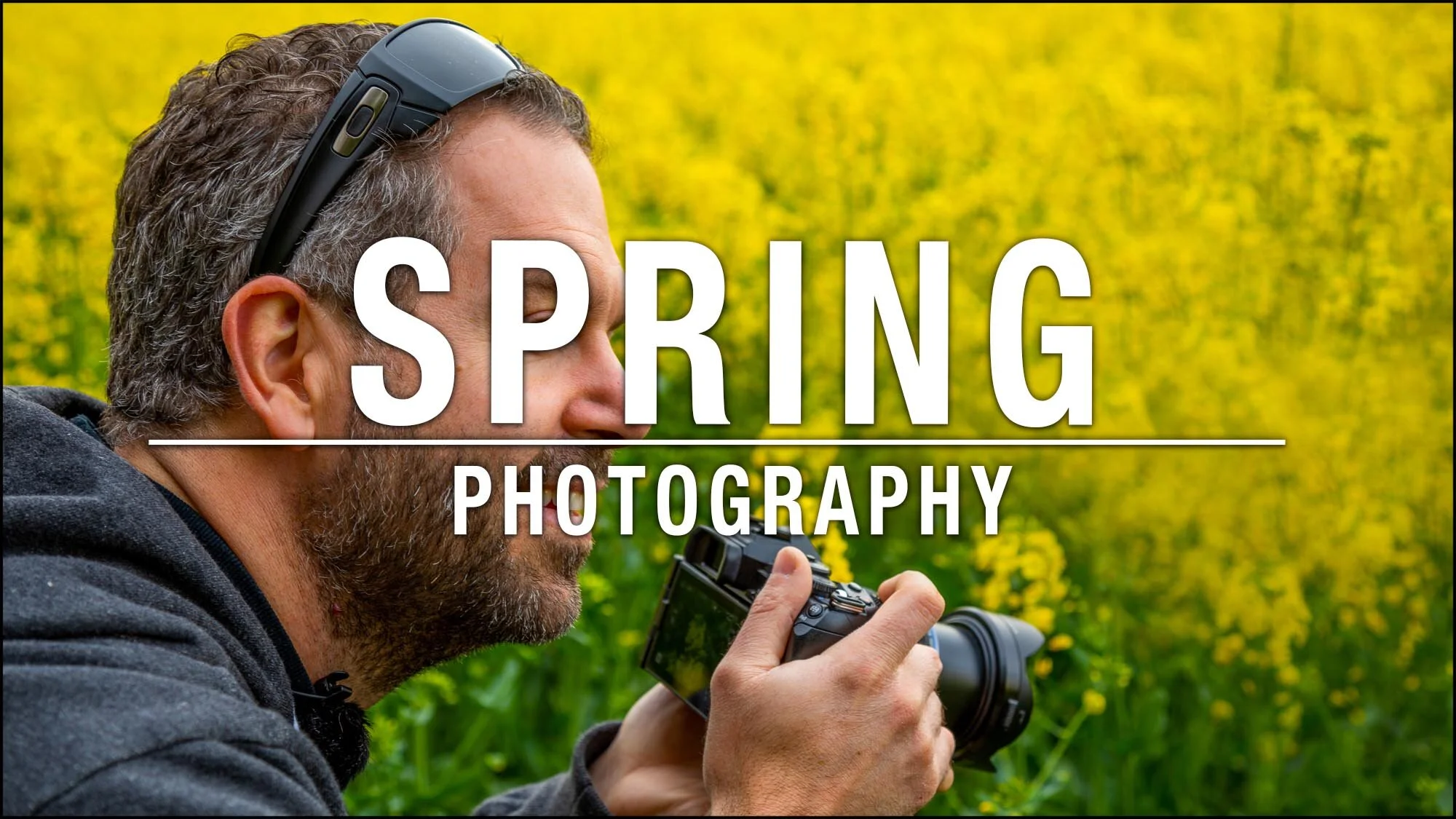Bluebell Photography — The School of Photography - Courses, Tutorials ...