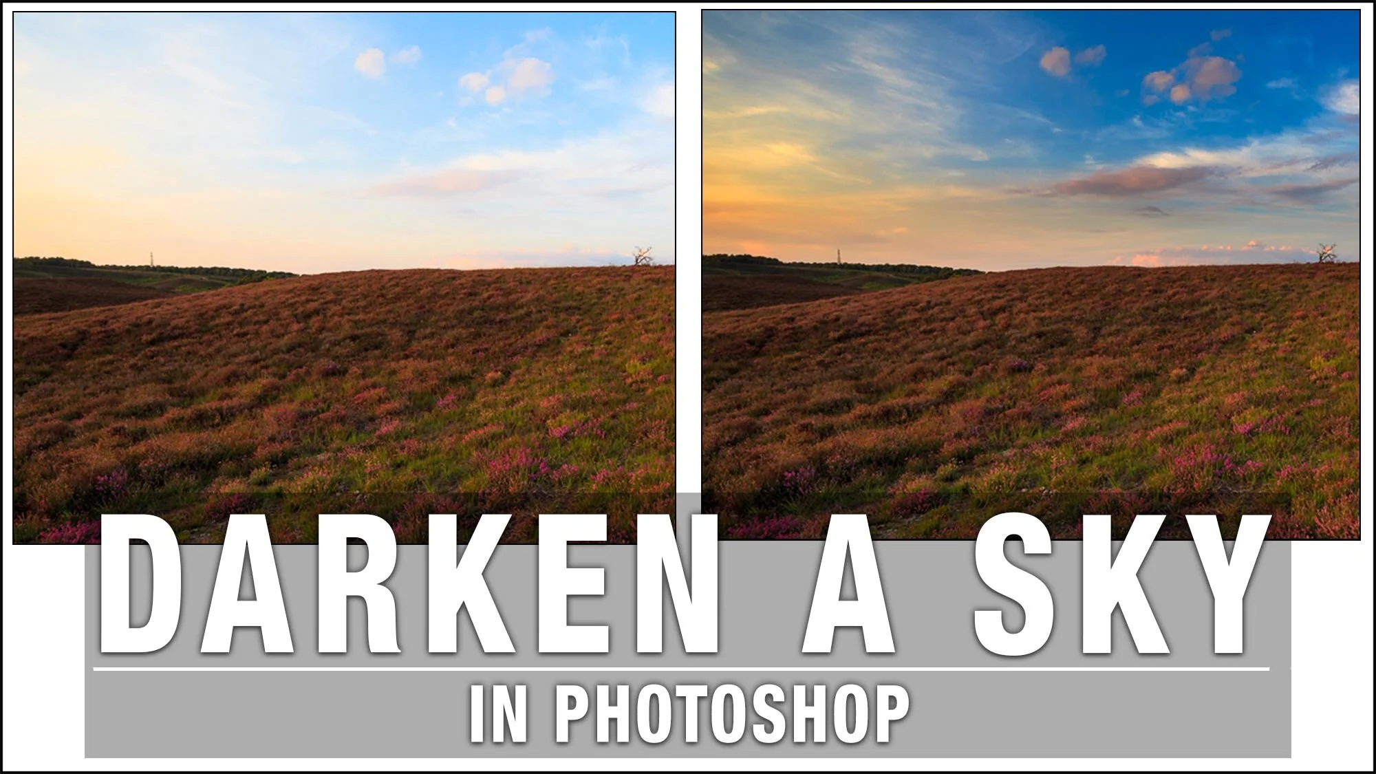 Photoshop — Free Photography Tutorials and Pro Tips & Techniques — The ...