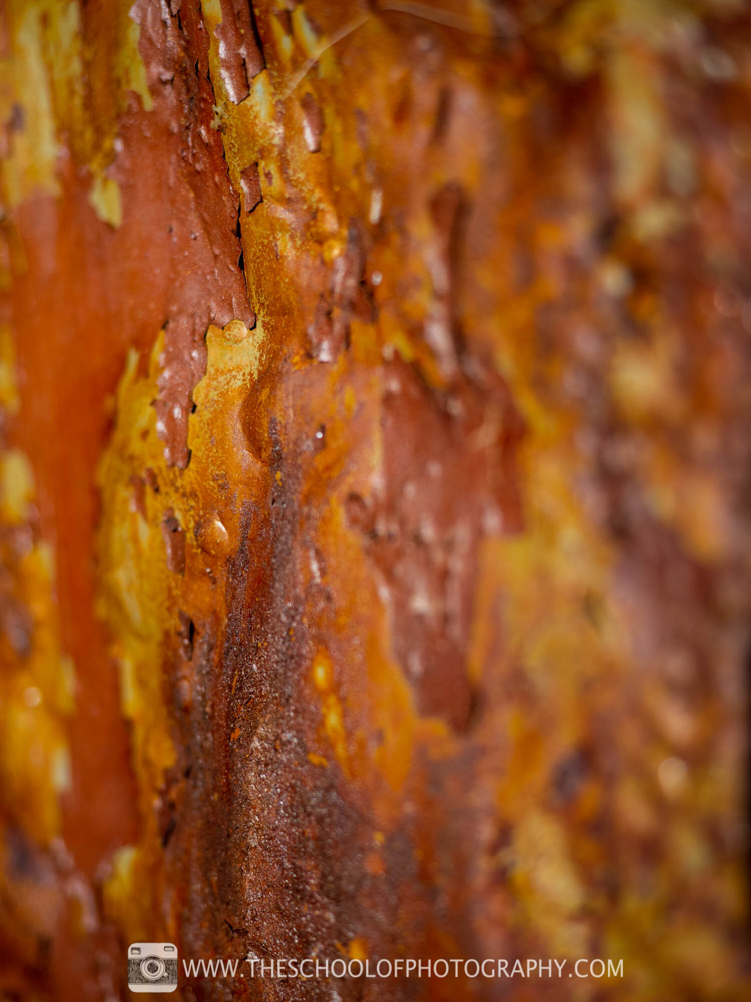 Abstract Photography Ideas - Change your Photography FOREVER! — The ...