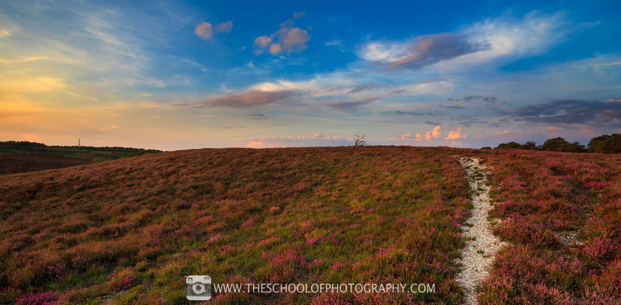 Landscape photography tips for beginners — The School of Photography ...