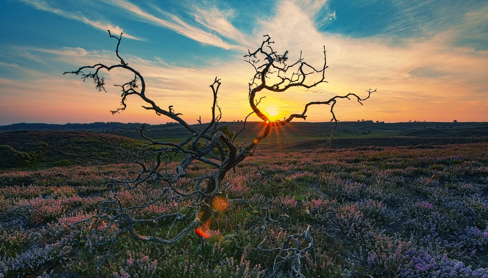 Photography Tips for Beginners — The School of Photography - Courses ...