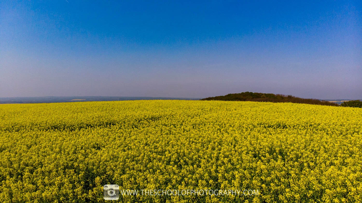 Spring Photography ideas — The School of Photography - Courses ...