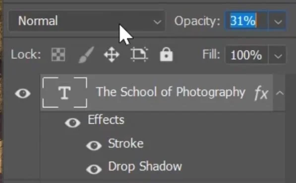 Opacity vs Fill Photoshop — The School of Photography - Courses ...