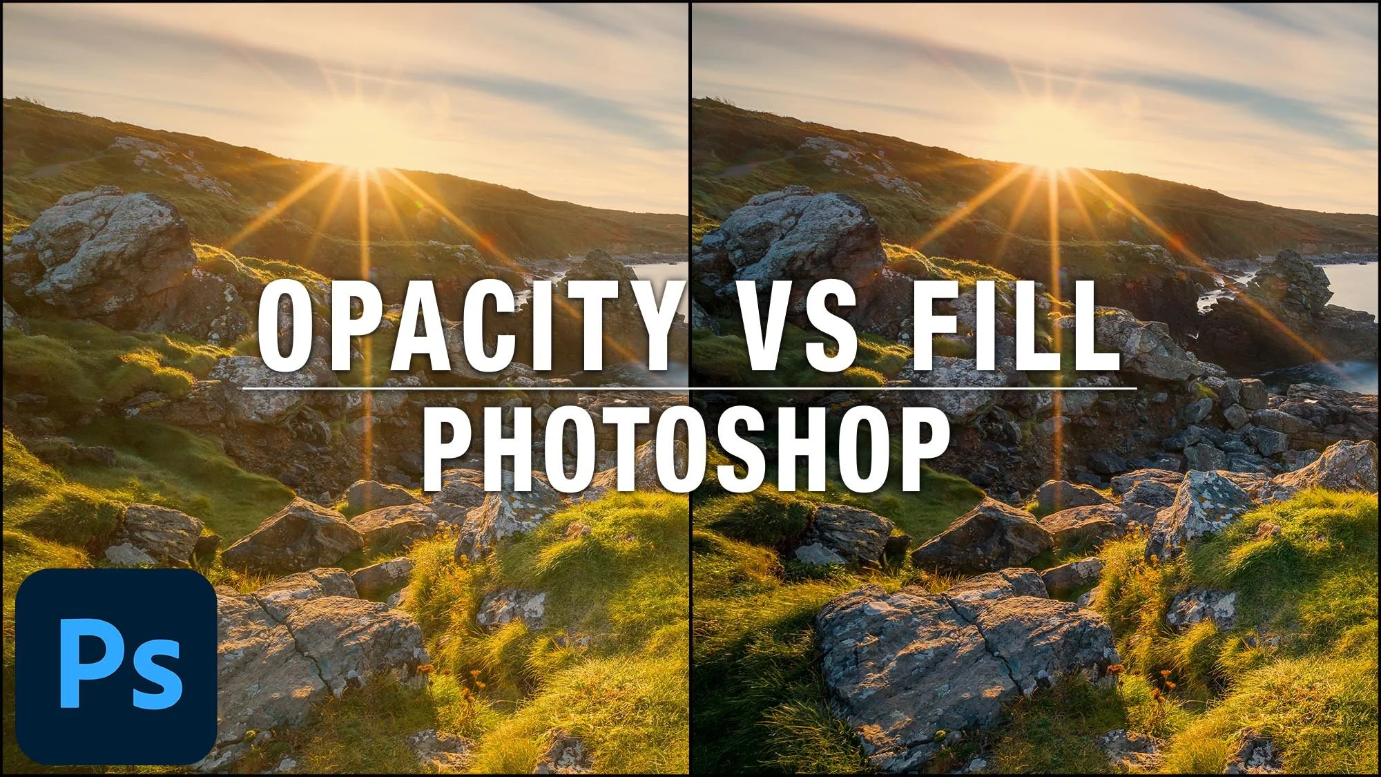 Free Photography Tutorials and Pro Tips & Techniques — The School of ...