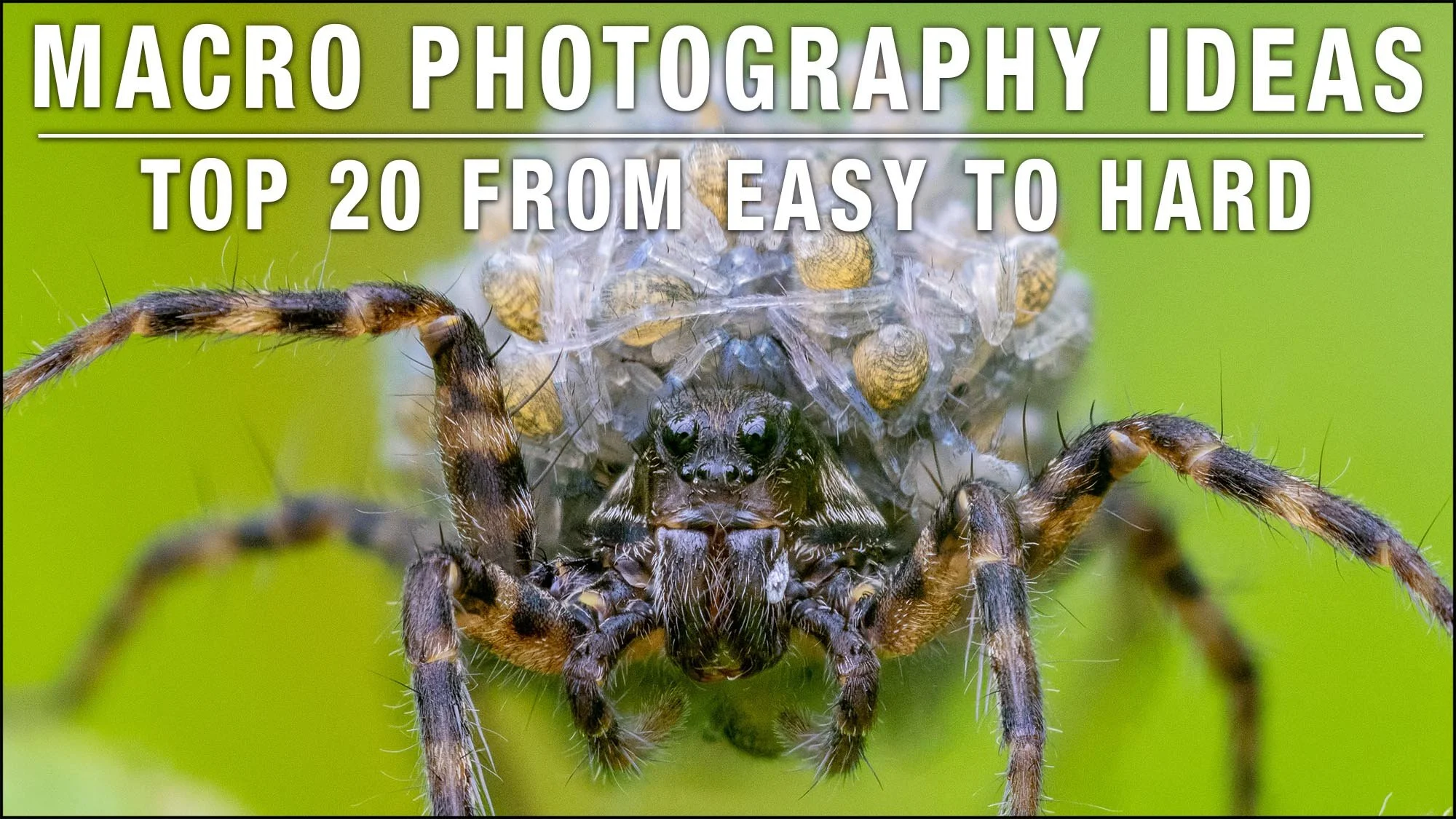 Free Photography Tutorials and Pro Tips & Techniques — The School of ...
