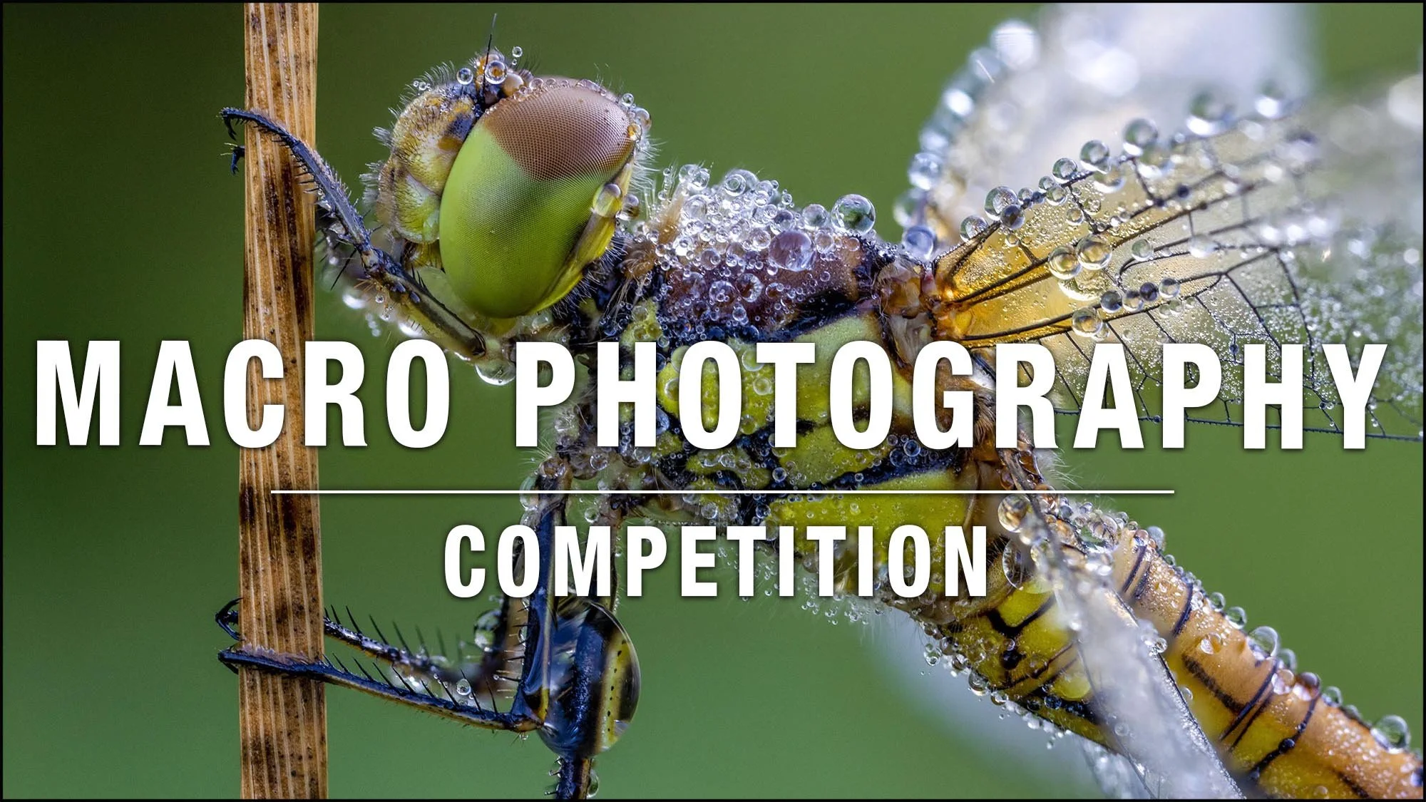 Photography Competitions — The School of Photography - Courses ...