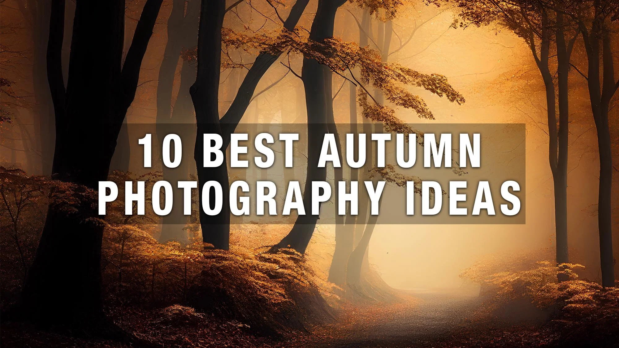 Free Photography Tutorials and Pro Tips & Techniques — The School of ...