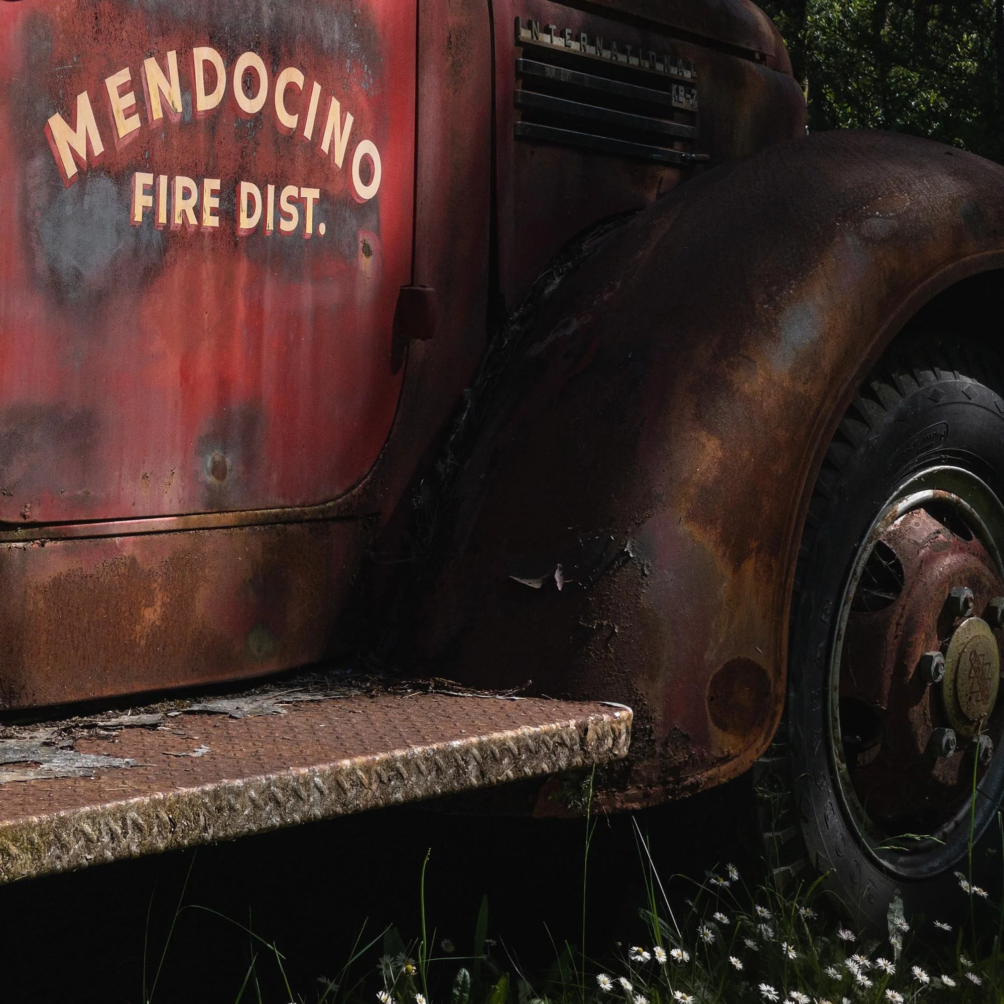Member Profile: Jessica Patterson — The School of Photography - Courses ...