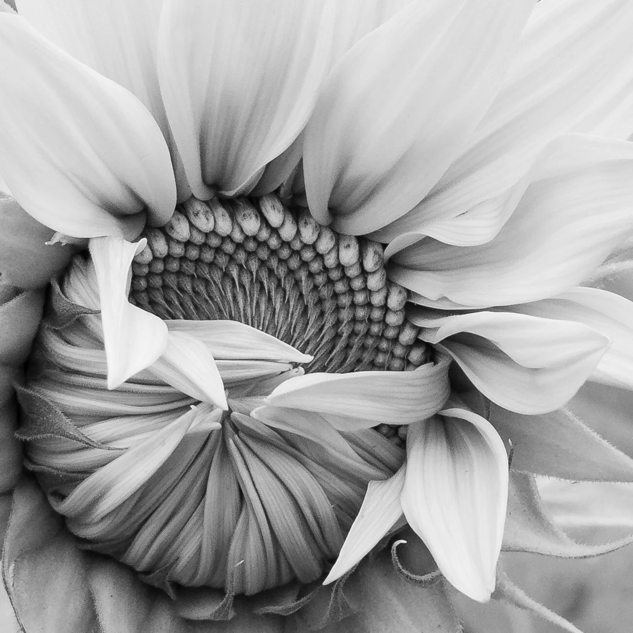 Member Profile: Jessica Patterson — The School of Photography - Courses ...
