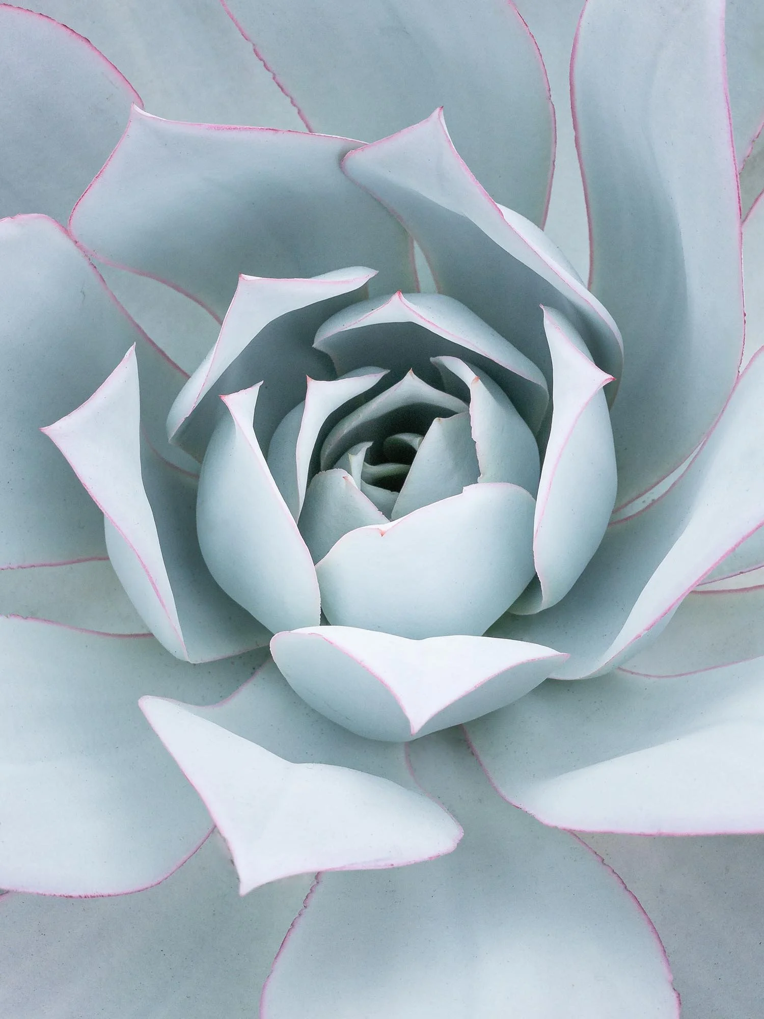 Member Profile: Jessica Patterson — The School of Photography - Courses ...