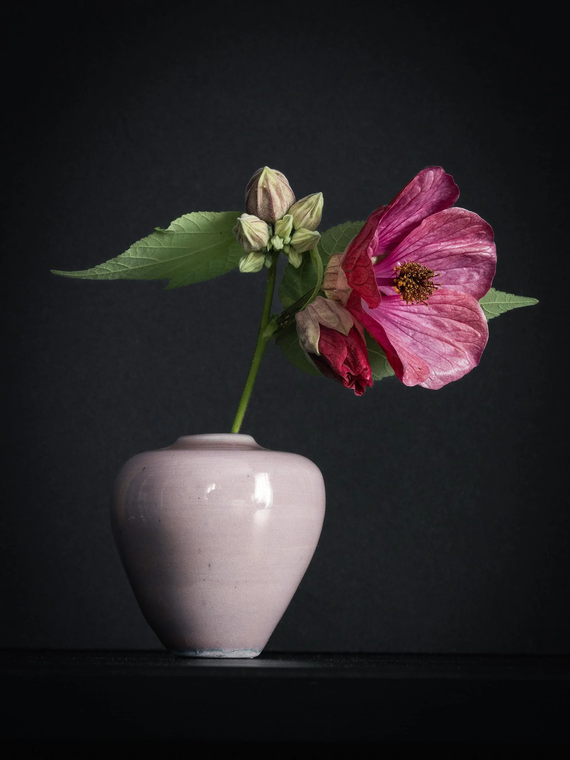 Member Profile: Jessica Patterson — The School of Photography - Courses ...
