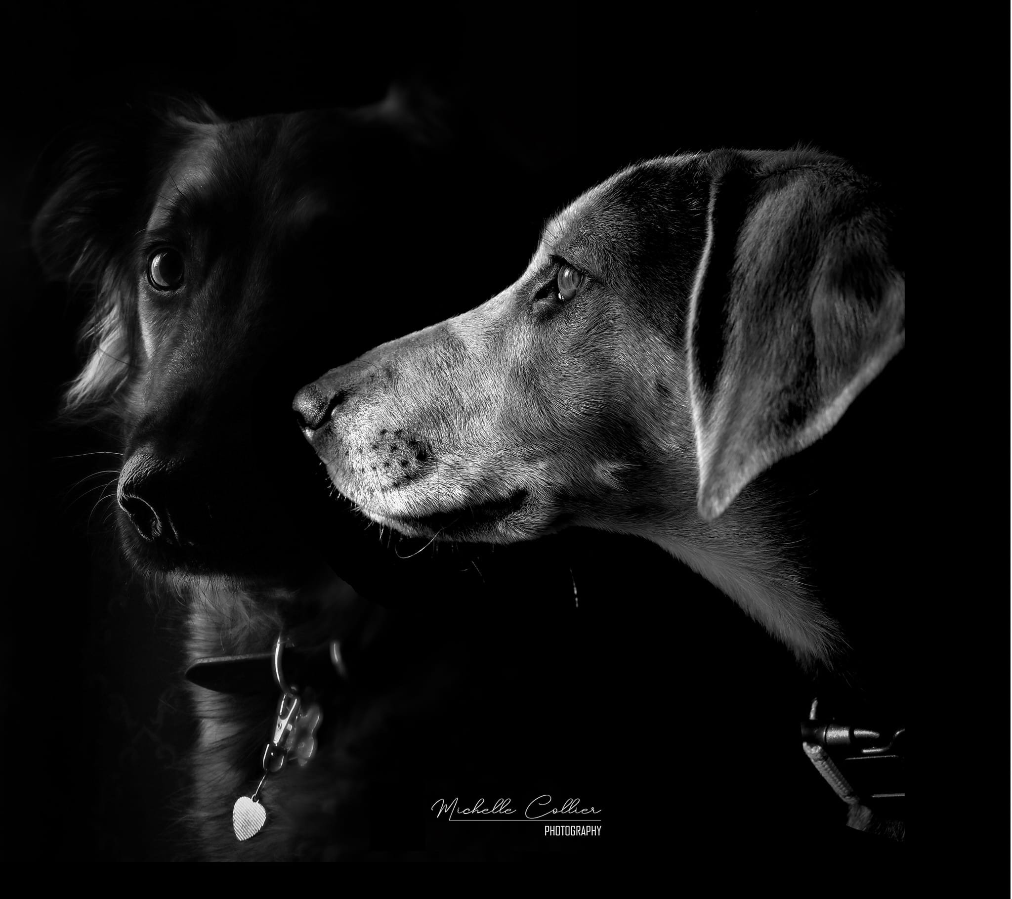 Member's Gallery — The School of Photography - Courses, Tutorials & Books