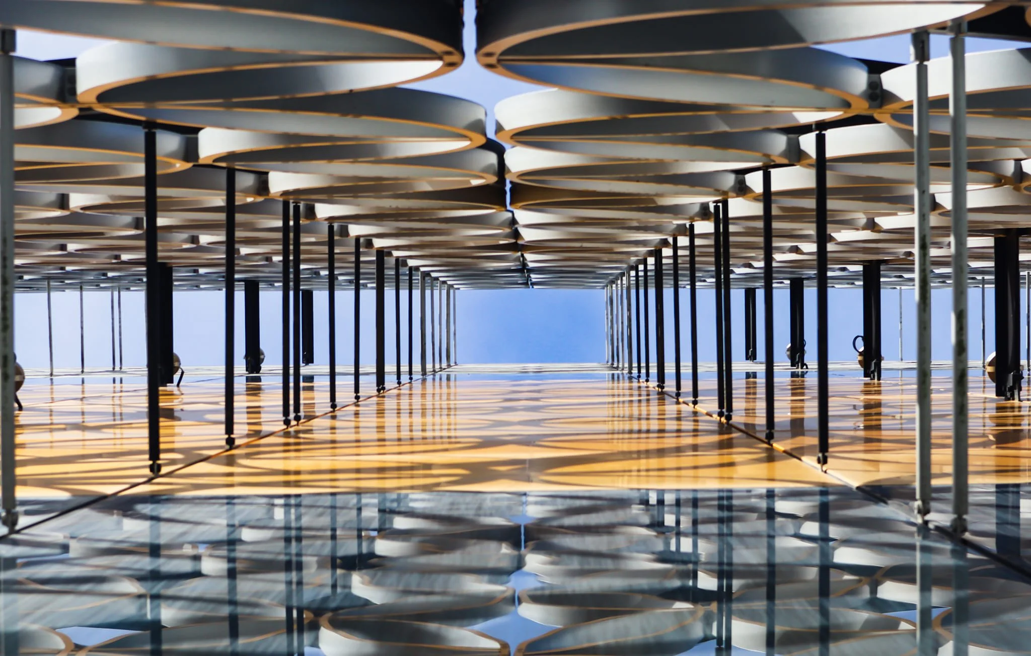 Member's Gallery — The School of Photography - Courses, Tutorials & Books