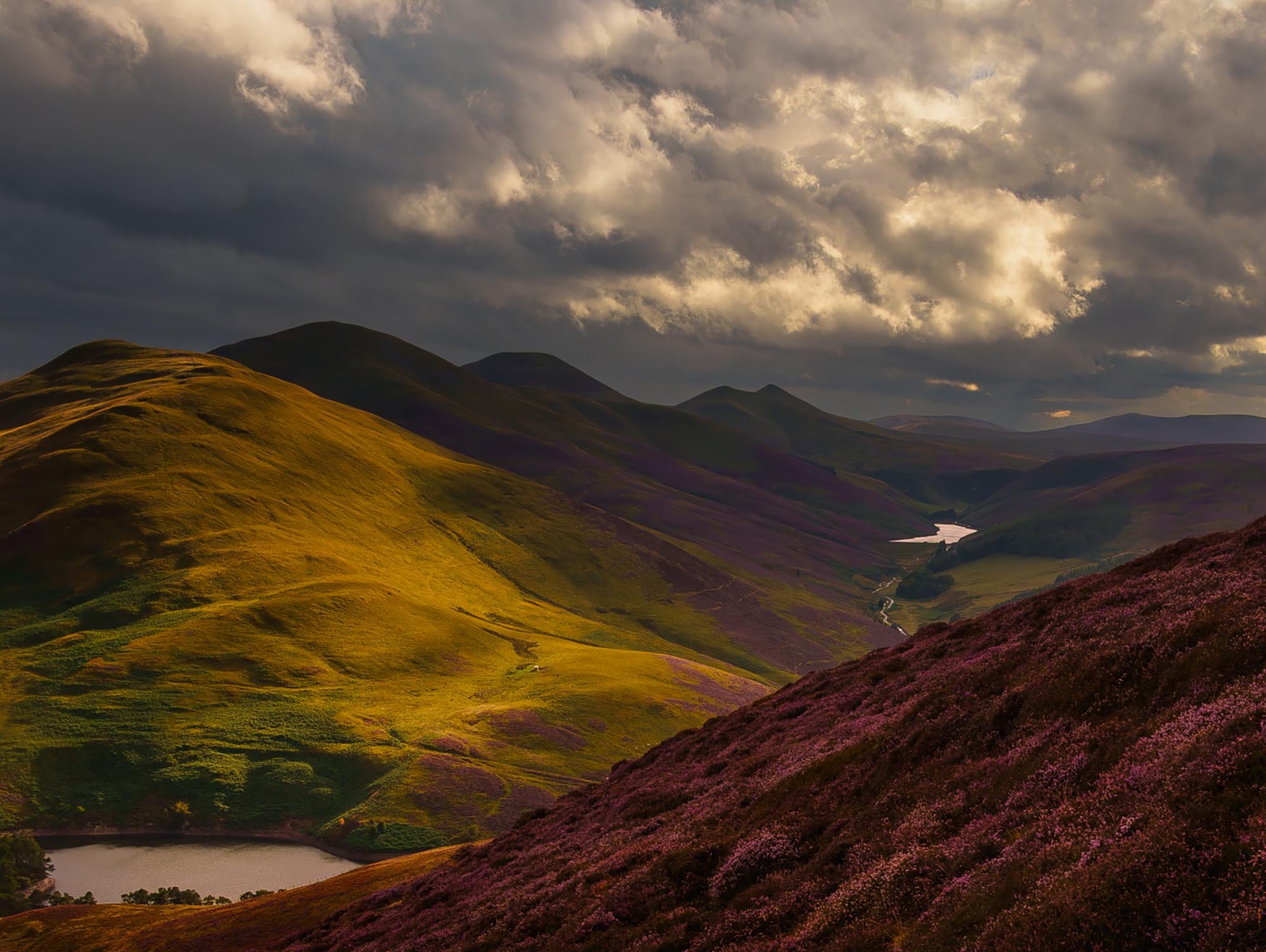 Member Profile: Brian Nicholson — The School of Photography - Courses ...