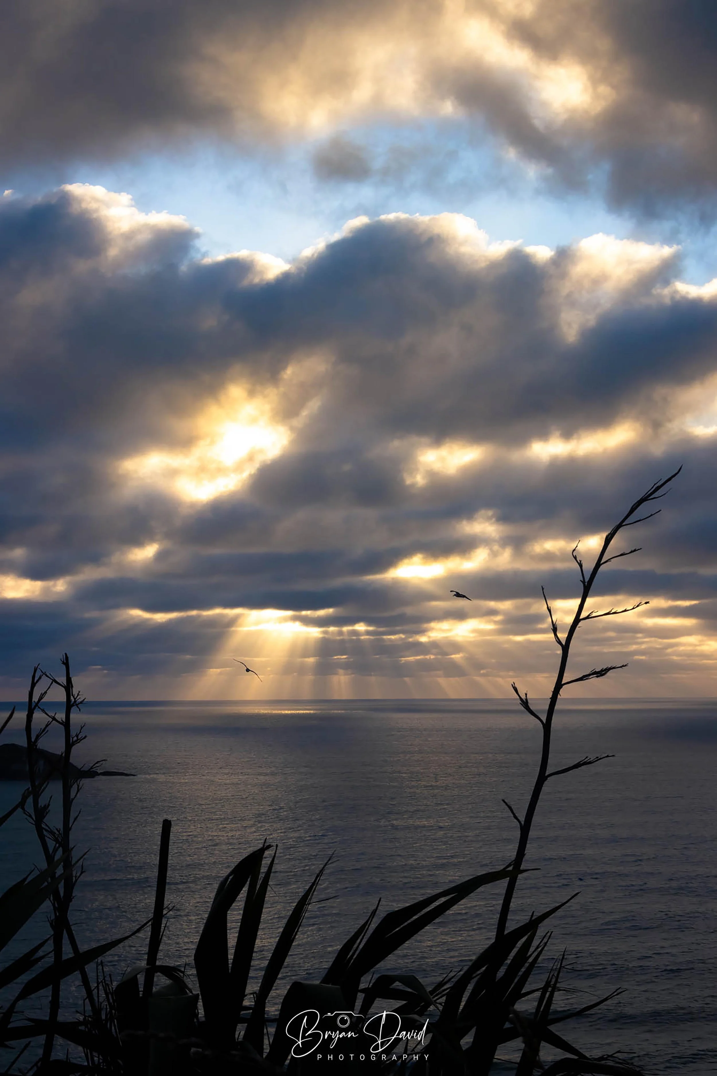 Member Profile: Bryan Long — The School of Photography - Courses, Tutorials & Books